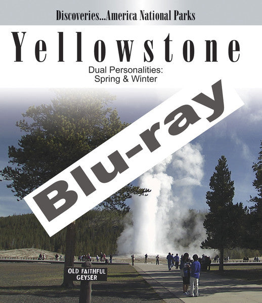 Travel Yellowstone National Park Blu-ray DVD – Bennett-Watt ...